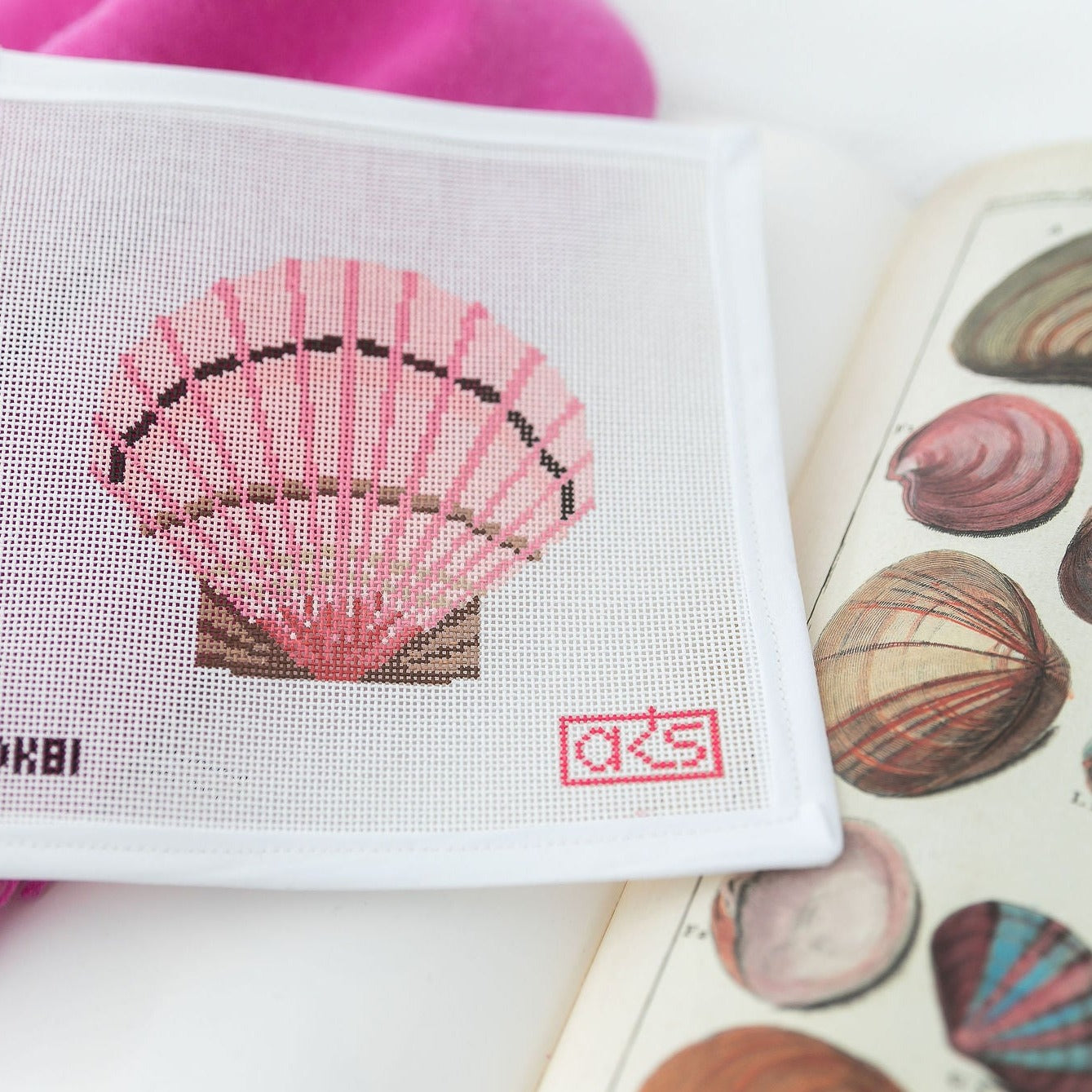 Pink Scallop Shell - Exclusive – Greystone Needlepoint